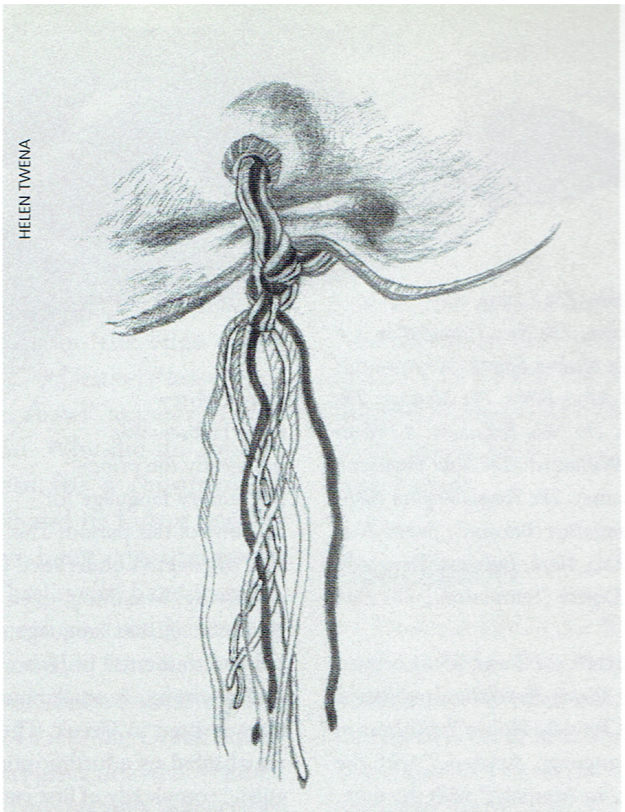 Glossary | JerusalemPerspective.com Online