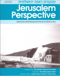 Jewish Laws of Purity in Jesus’ Day | Jerusalem Perspective