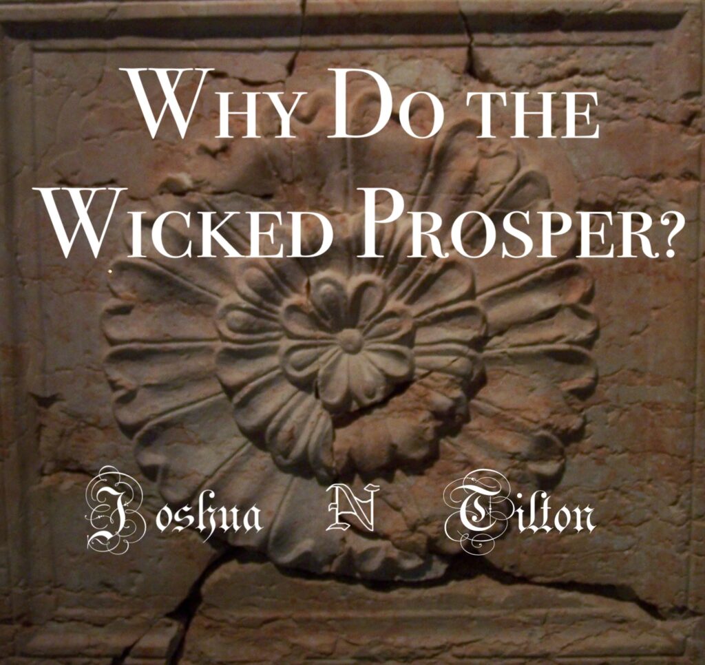 Why Do the Wicked Prosper? | Jerusalem Perspective